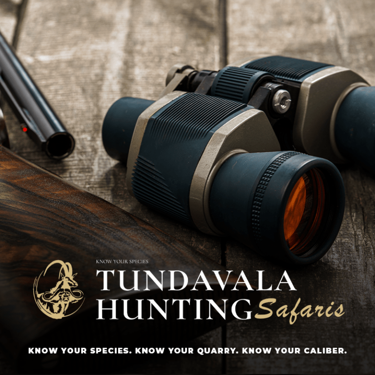 Hunting Catalogue - Saddleback Impala - Tundavala Hunting Safaris